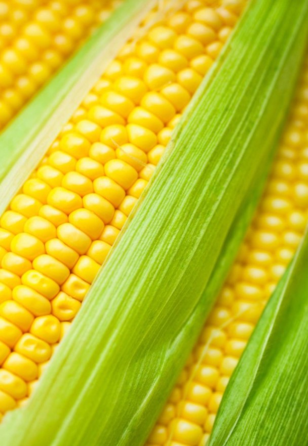 Valency International